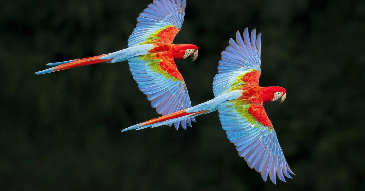 New Release | SmithDavidson Gallery